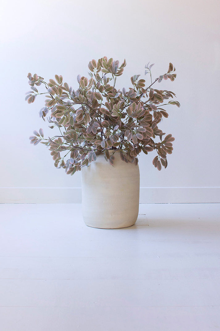 Fittonia Botanical Stem – ReclaimedWarehouse